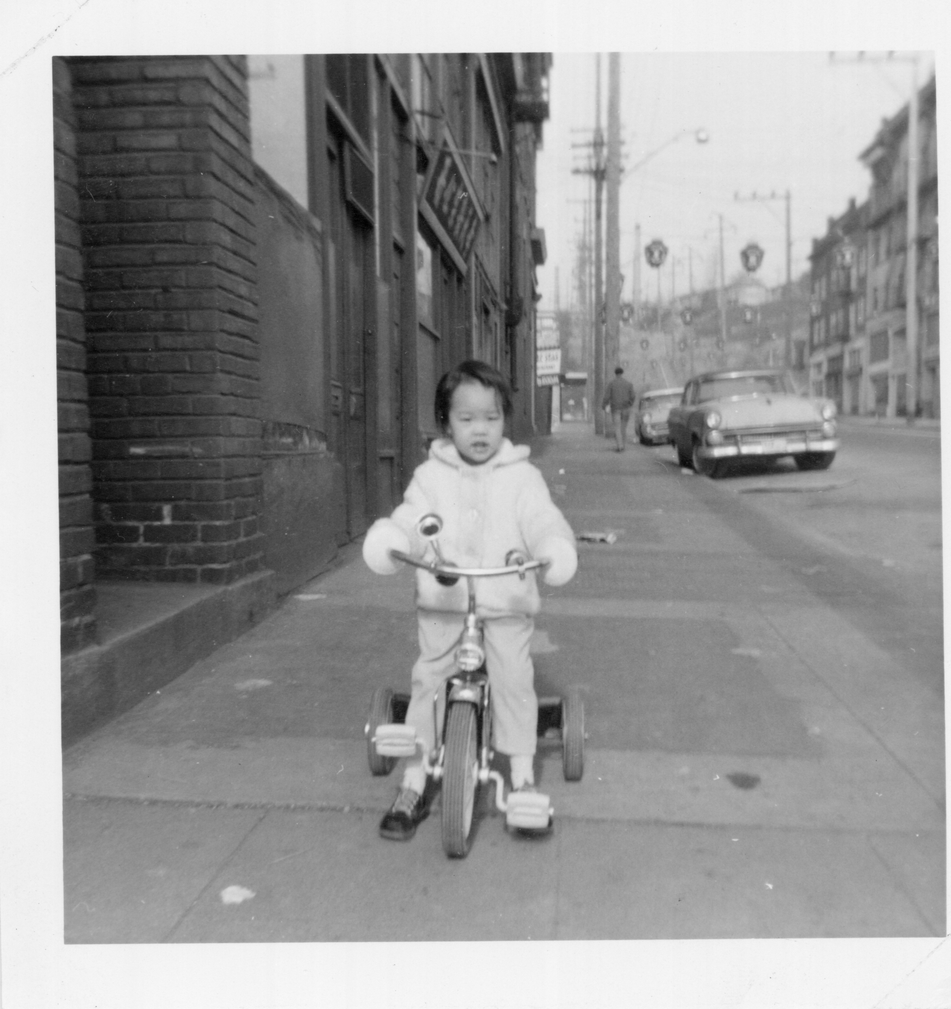 Elana Eng Lim - American Chinese: A Memoir for Literary Agents & Publishers